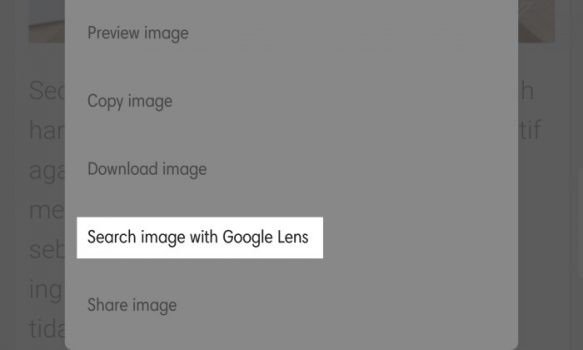 Cara Search Google Menggunakan Foto Supaya Lebih Gampang Mencarinya