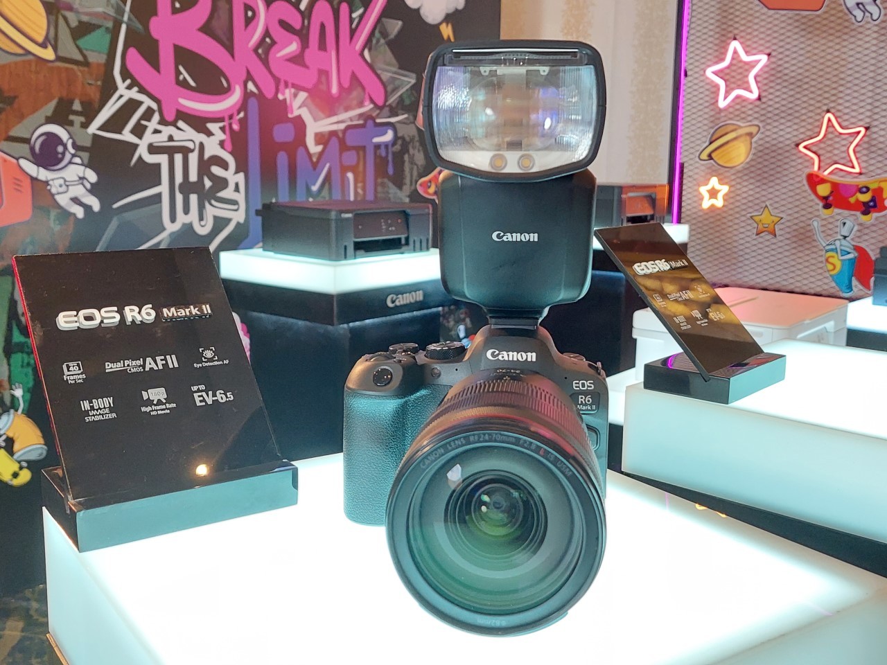 Bisa Rekam Video RAW 6K 60fps, Canon EOS R6 Mark II Resmi Dirilis di ...