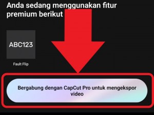 Keuntungan CapCut Premium dan Cara Berlangganannya Untuk Dapat Fitur ...