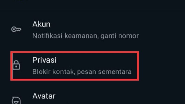 Cara Mematikan Centang Biru WhatsApp Agar Tidak Terlihat Dibaca