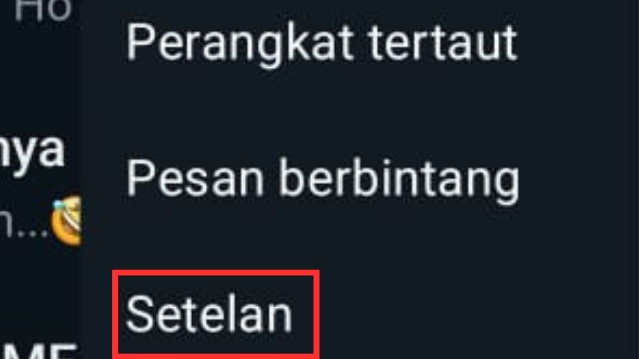 Cara Mematikan Centang Biru WhatsApp Agar Tidak Terlihat Dibaca