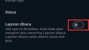 Cara Mematikan Centang Biru WhatsApp Agar Tidak Terlihat Dibaca
