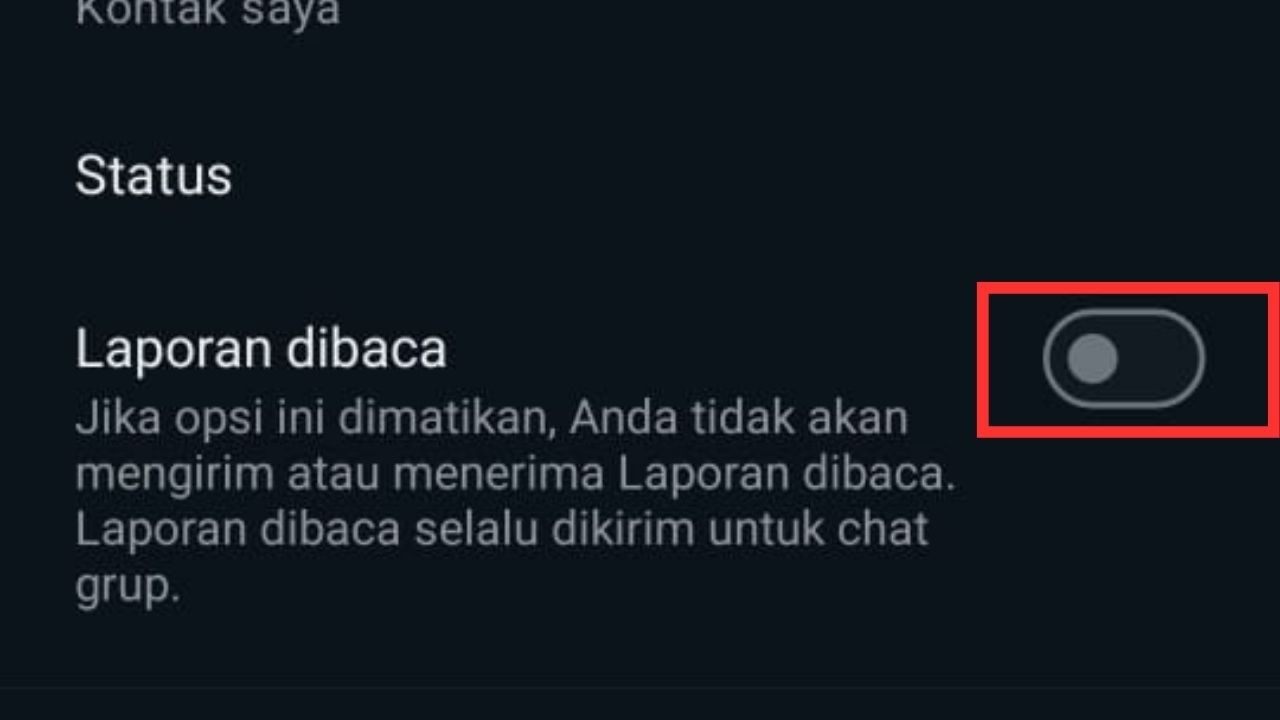 Cara Mematikan Centang Biru WhatsApp Agar Tidak Terlihat Dibaca