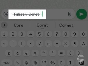 Cara Buat Tulisan Coret, Miring, dan Tebal di WhatsApp