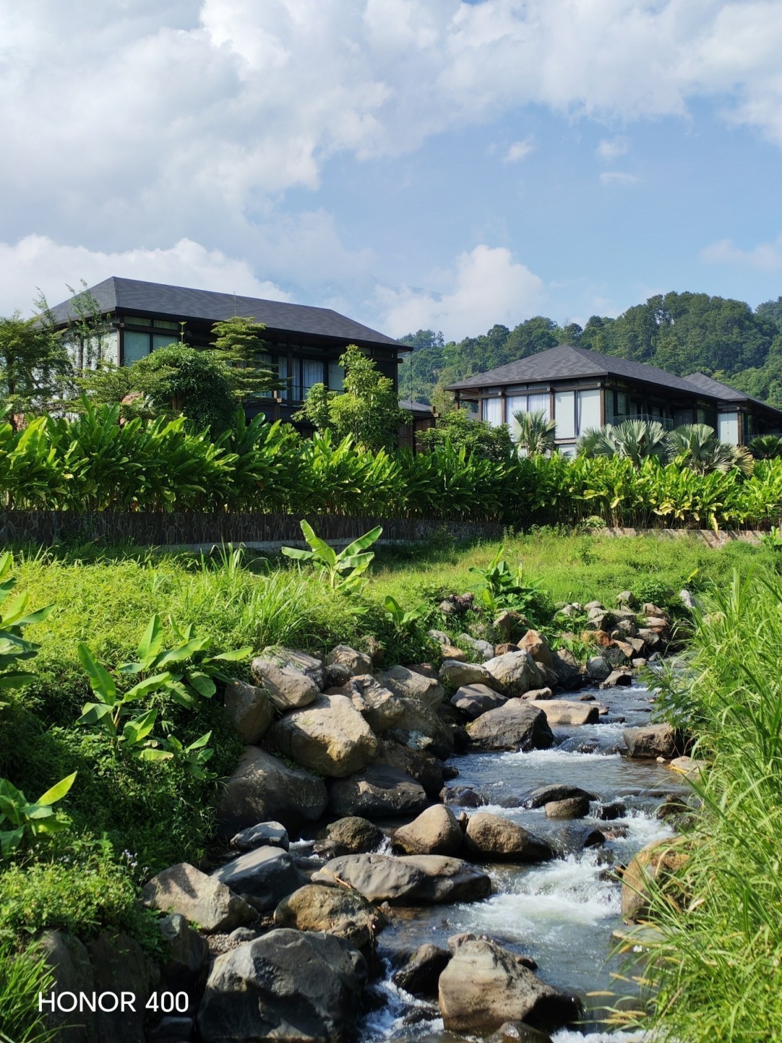 Review HONOR 400 – Daya Tahan Baterai Lama dan Bertabur Fitur AI